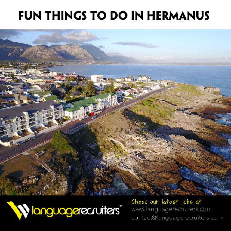 Fun things to do in Hermanus